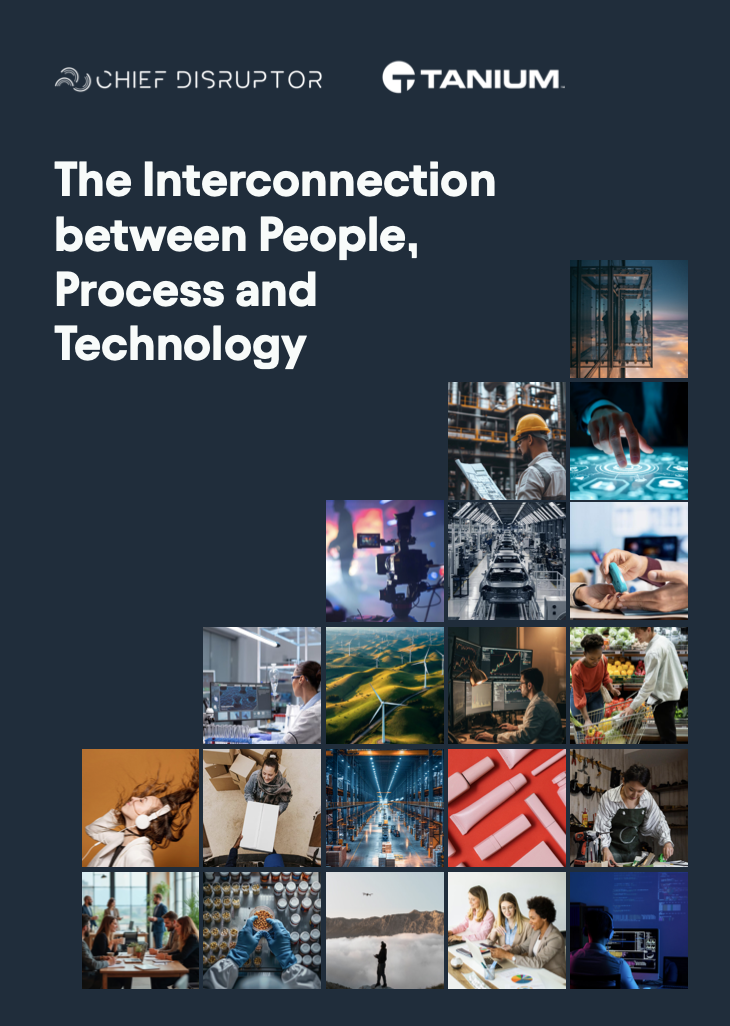The Interconnection of People, Process and Technology: IT Complexity ...